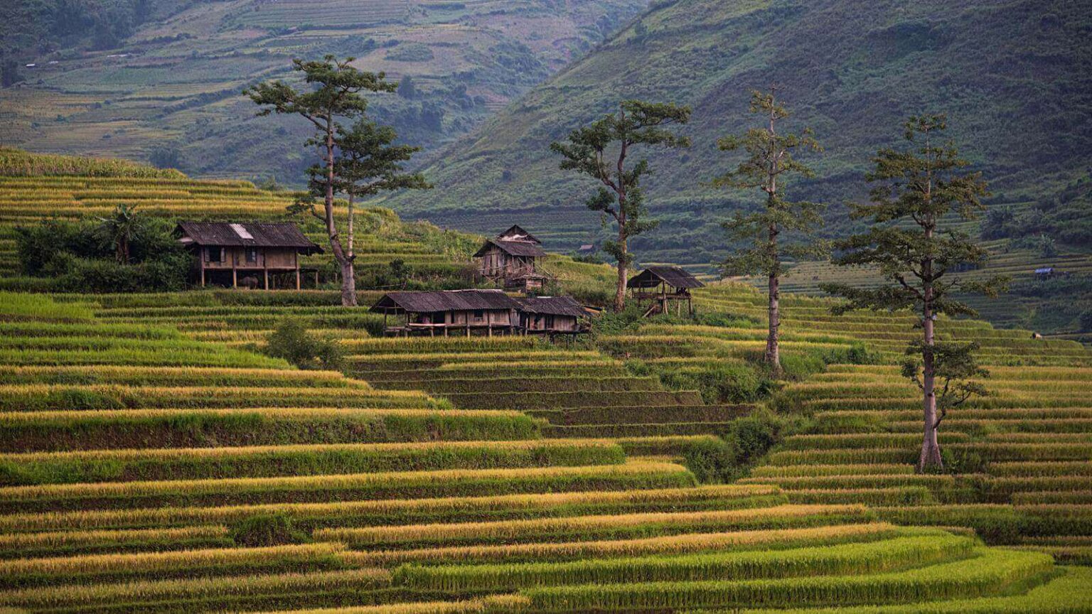 Backpacking Vietnam - The ULTIMATE Vietnam Travel Guide (2026)