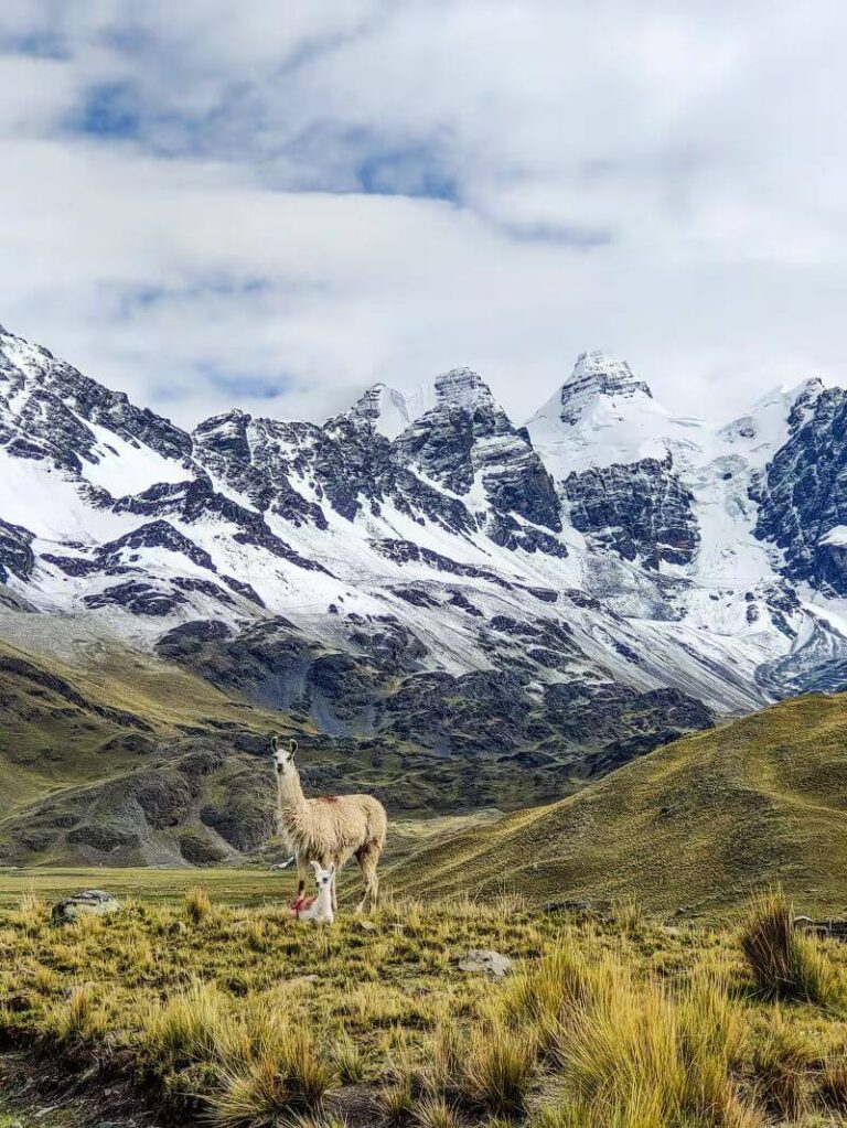 Backpacking Bolivia - The ULTIMATE Bolivia Travel Guide