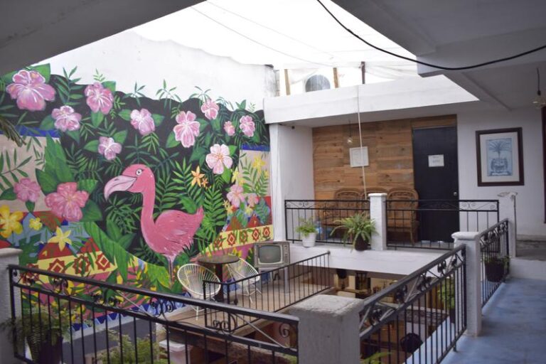 11 BEST Hostels in Cancun (2026 Insider Guide)