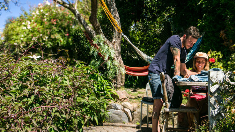 10 BEST Hostels in Nelson (2026 Insider Guide)