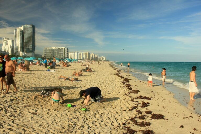 Is Miami Safe? (Tips + Avoiding Crime in 2022)