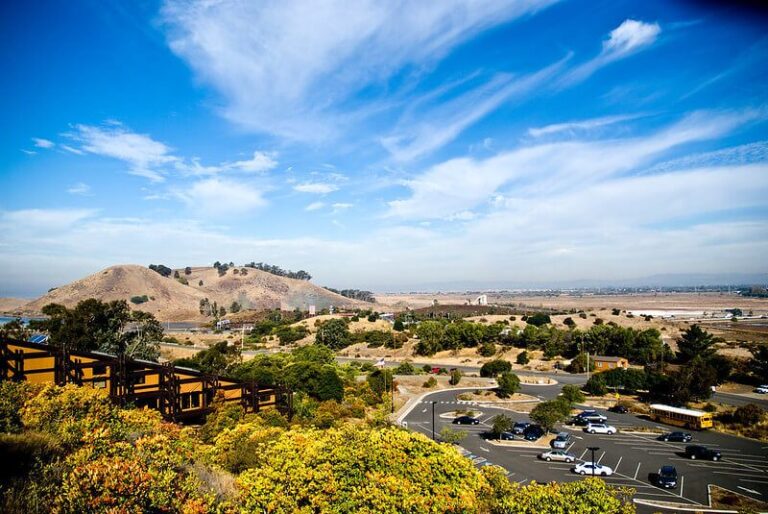 16 UNIQUE Things to Do in Fremont [in 2026]