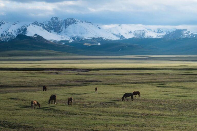 Backpacking Kyrgyzstan - The ULTIMATE Kyrgyzstan Travel Guide (2026)