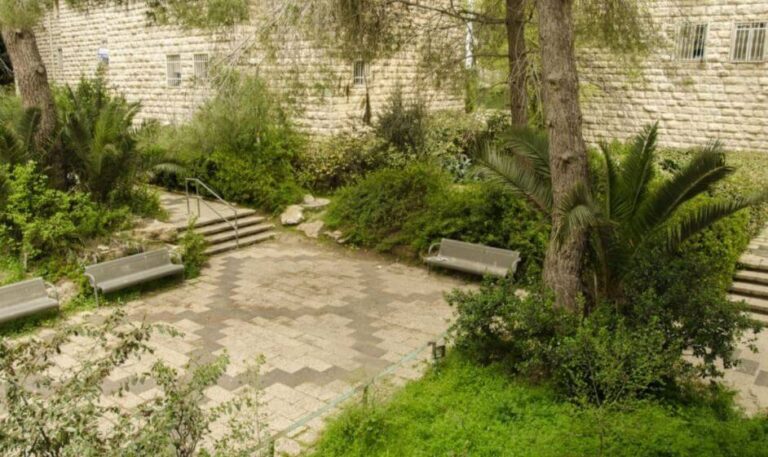 20 BEST Hostels in Israel (2026 Insider Guide)