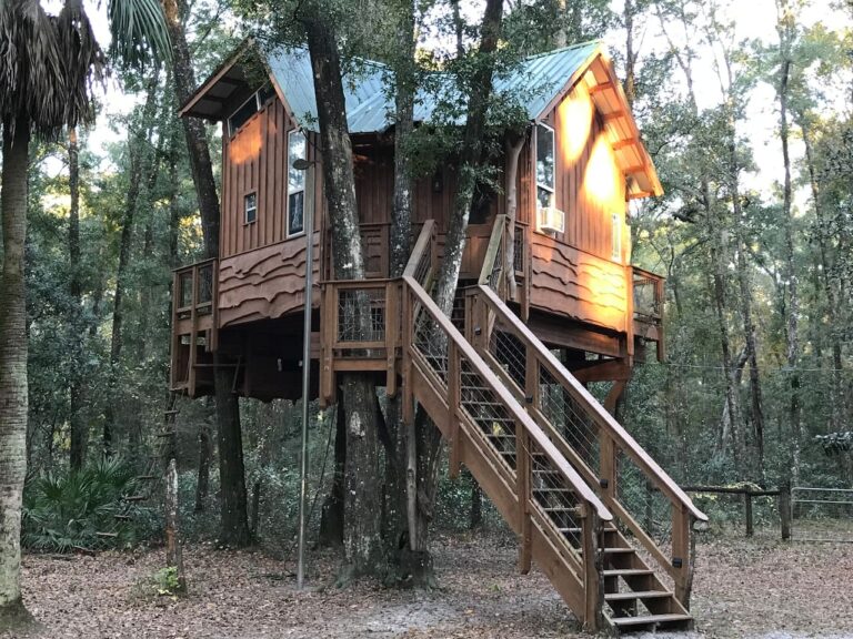 The 5 Best Treehouses and Cabins in Florida: 2025 Edition