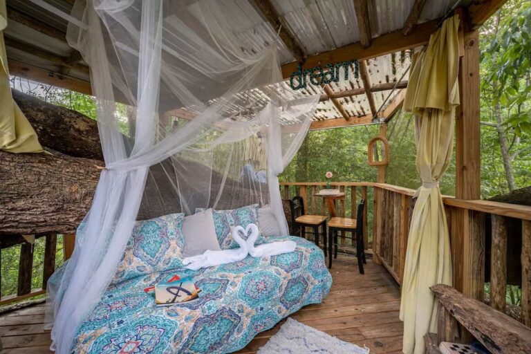 The 5 Best Treehouses and Cabins in Florida: 2026 Edition