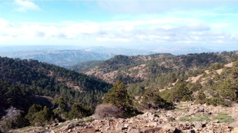 Hiking in Cyprus: 8 Bucketlist Trails to Check Out in 2026