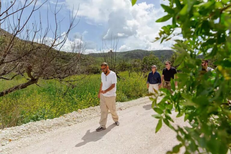 Hiking in Cyprus: 8 Bucketlist Trails to Check Out in 2026