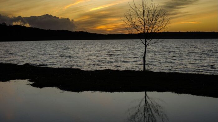 The Best Hikes in Denmark: Where are They and What to Know in 2026