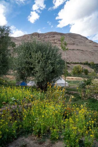 Homestays 101: The EPIC Guide to Staying With Locals! (2026)