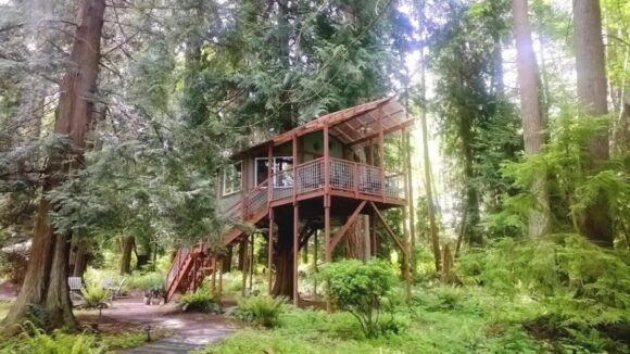 10 STUNNING Treehouses in Washington State [2026 Edition]