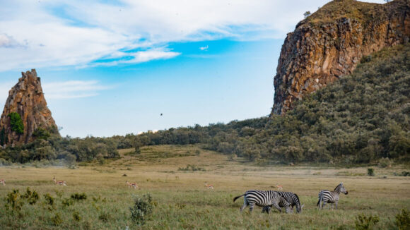 9 STUNNING National Parks in Kenya
