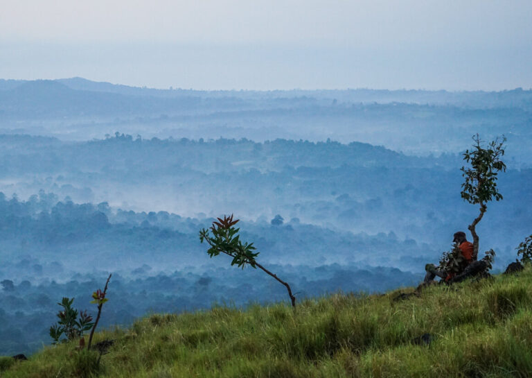 9 STUNNING National Parks in Kenya