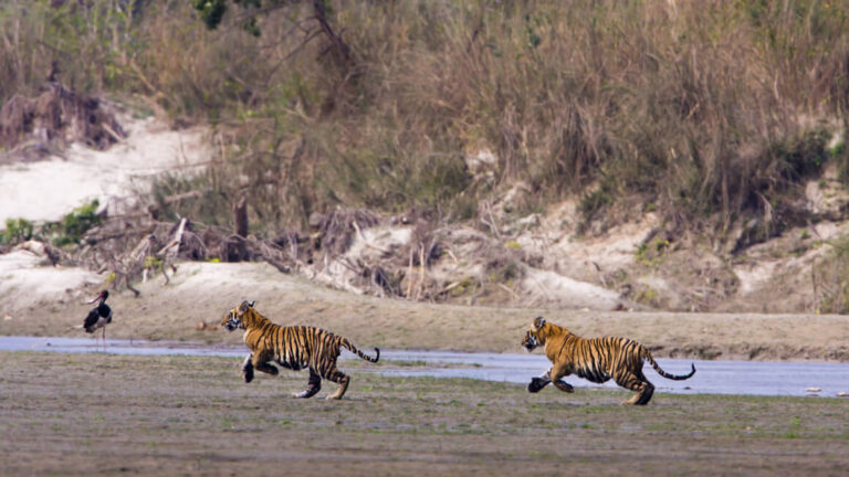 11 STUNNING National Parks in Nepal