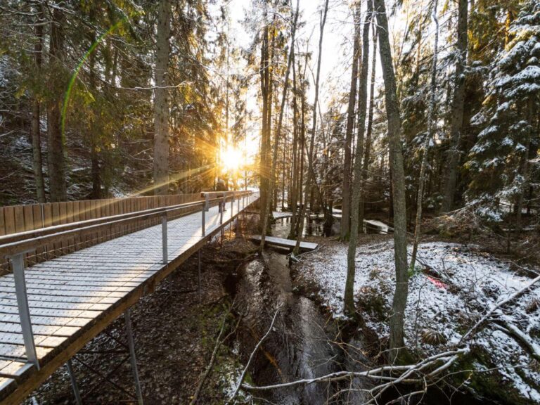 11 STUNNING National Parks in Sweden