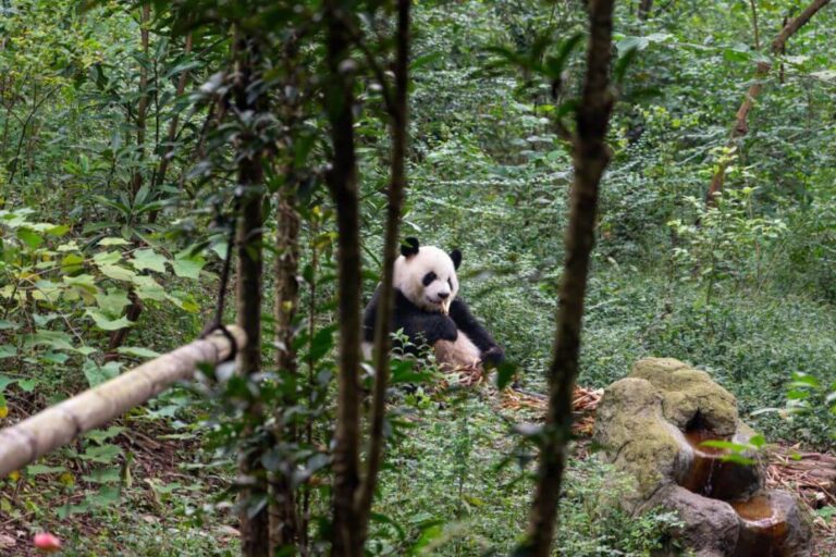 11 STUNNING National Parks in China