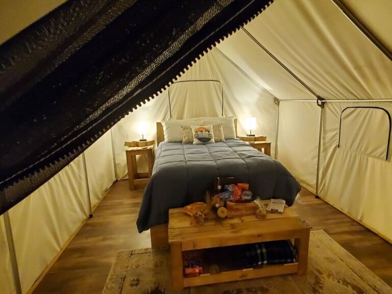 5 EPIC Treehouses in Branson [2026]