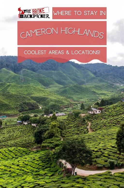 Where to Stay in Cameron Highlands: The BEST Areas in 2026