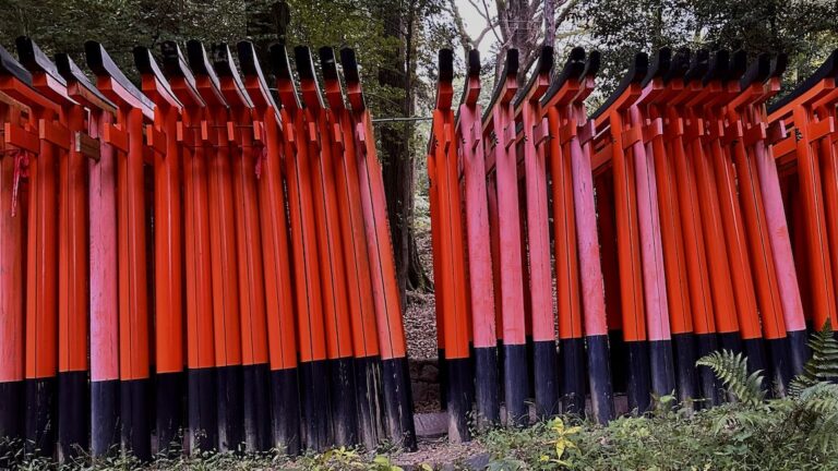 MUST READ Fushimi Inari Taisha Guide for Kyoto (2026)