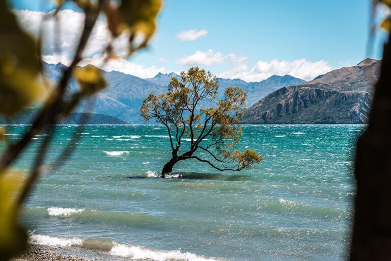15 Things to Do in Wanaka | Activities, Extras + More in 2026