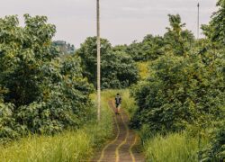 The 16 BEST Things to Do in Ubud, Bali