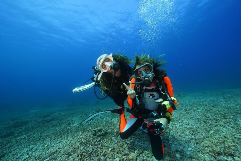 The COMPLETE Guide to Diving in Baja, California - The Broke Backpacker