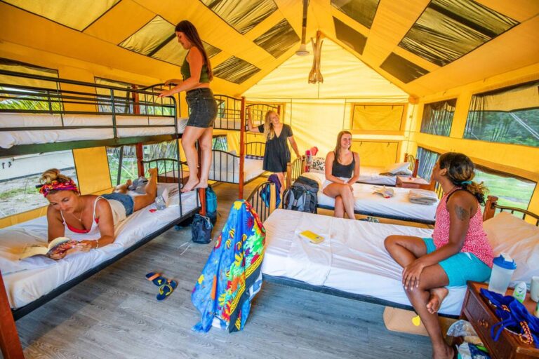 The 5 Best Hostels in Fiji: 2026 Edition