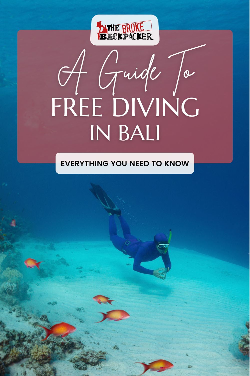 Freediving in Bali (2026 Insider Guide)