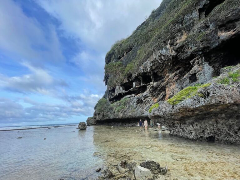 Swimming With Whales in Rurutu - a Life Changing Experience! - The ...