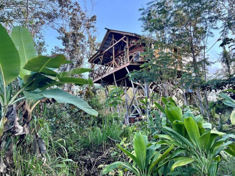 The 5 Best Treehouses in Hawaii: 2026 Edition