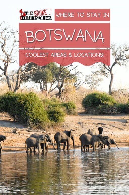 Where to Stay in Botswana (Guide to the Best Places in 2026)