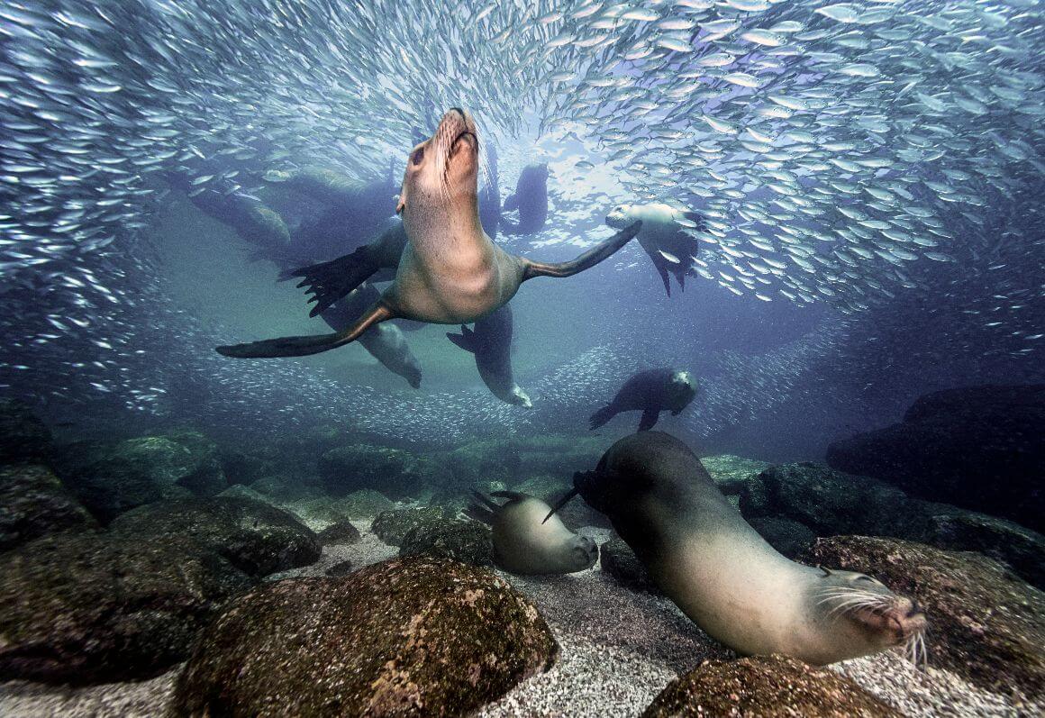 20 of the Most Beautiful Places to Visit in Baja California