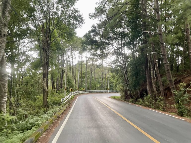The Mae Hong Son Motorbike Loop (Our ULTIMATE Guide)