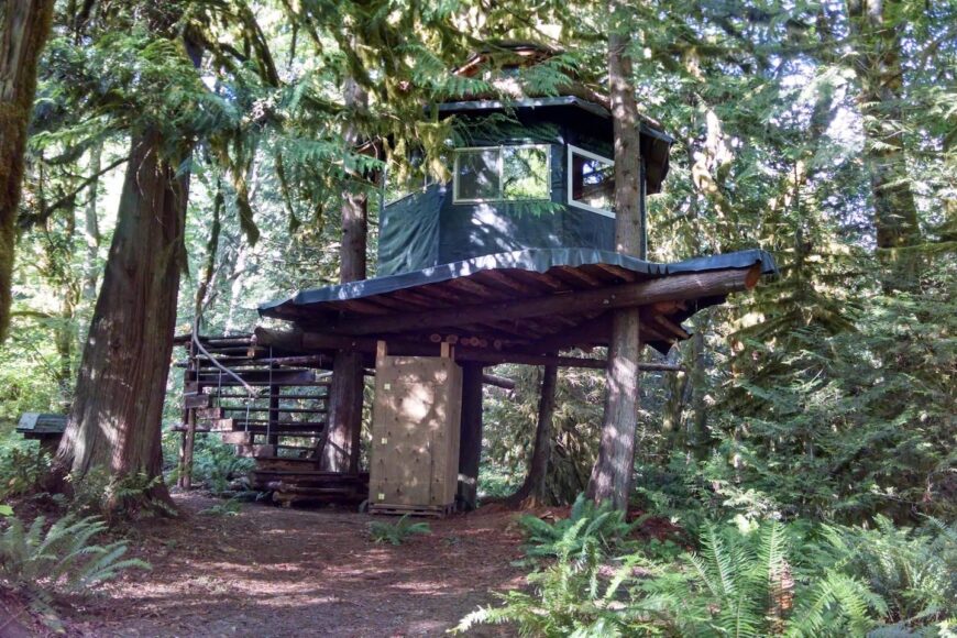 15 EPIC Treehouses and Cabins in Washington [2026]