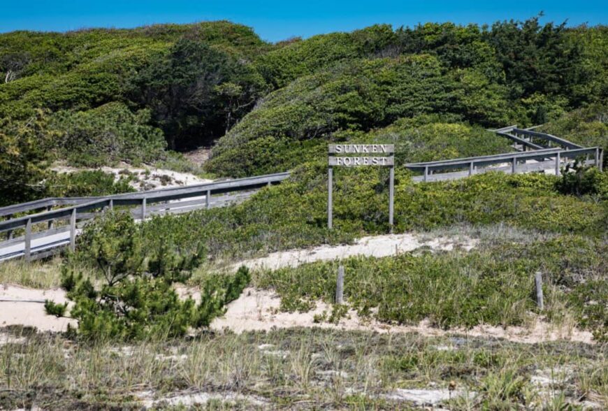 Where to Stay in Fire Island: The BEST Areas in 2026