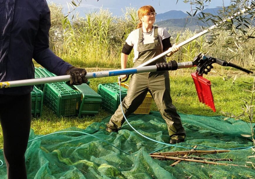 Biggest and BEST Guide to Volunteering in Italy (2026)