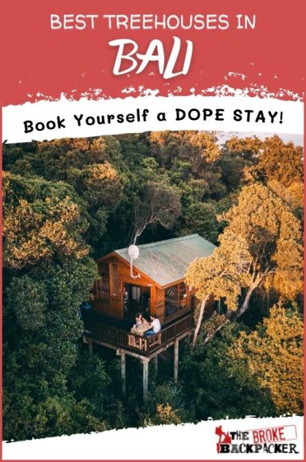 10 INCREDIBLE Treehouses in Bali [2026 Edition]