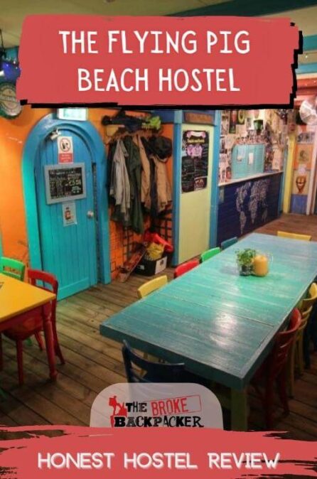 The Flying Pig Beach Hostel | 2026 Review