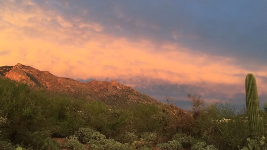 Where to Stay in Tucson (Guide to the Best Places in 2026)