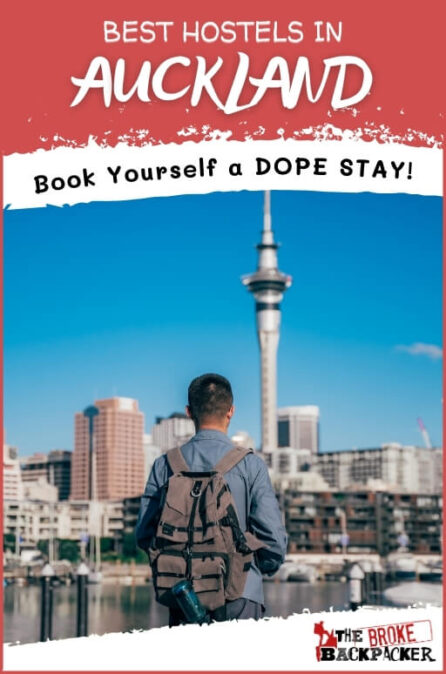 The 5 Best Hostels in Auckland: 2026 Edition