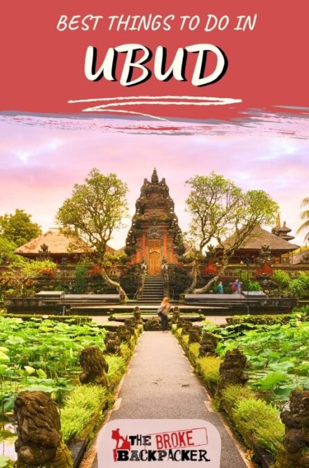 The 16 BEST Things to Do in Ubud, Bali